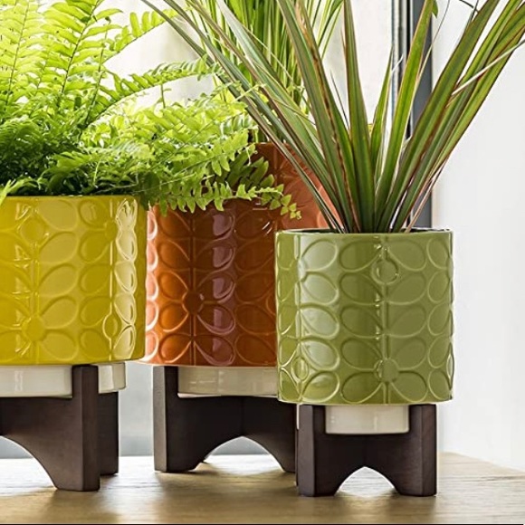 Orla Kiely | Accents | Orla Kiely Garden 6s Stem Plant Pot Stand Leaf ...